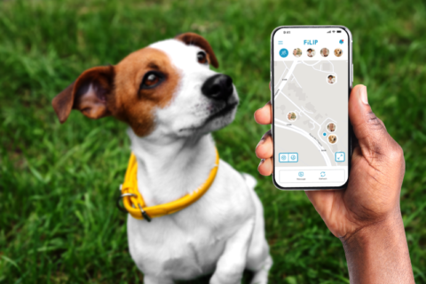 Pet Tracker vs. Pet Finder: What’s the Difference? - Smartcom